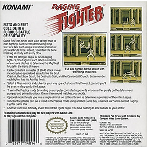 Raging Fighter
