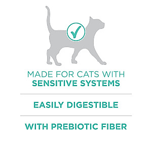 Purina ONE Sensitive Stomach, Sensitive Skin, Natural Dry Cat Food, +Plus Sensitive Skin and Stomach Formula - 22 lb. Bag