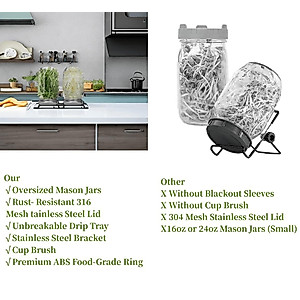 Lulonpon 2 Sprouting Jar Kit, Wide Mouth Quart Mason Jars with Stainless Steel Screen Sprout Lids, 86mm,1000ml,Stand,Tray and Canning Brush,Seed Sprouter Set for Growing Broccoli, Alfalfa, Mung Bean