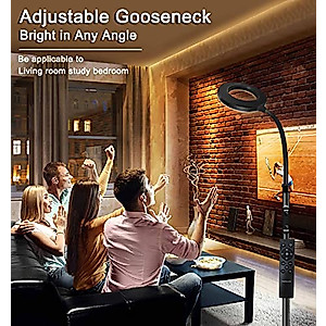 KS KINGSTAR Sofa Standing lamp Floor lamp Side Reading Lamps 3-Color Tall Standing Pole Light with Remote for Live Stream Learning and Reading Living Room,Bed Room,Home Office