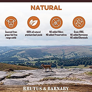 Bully Sticks For Dogs, Low Odor, All Natural Dog Treat - Long Lasting Beef Rawhide Alternative, Bully Stick Chew Sticks Best For Aggressive Chewers, Small, Medium, Large Dogs, Or Teething Puppies