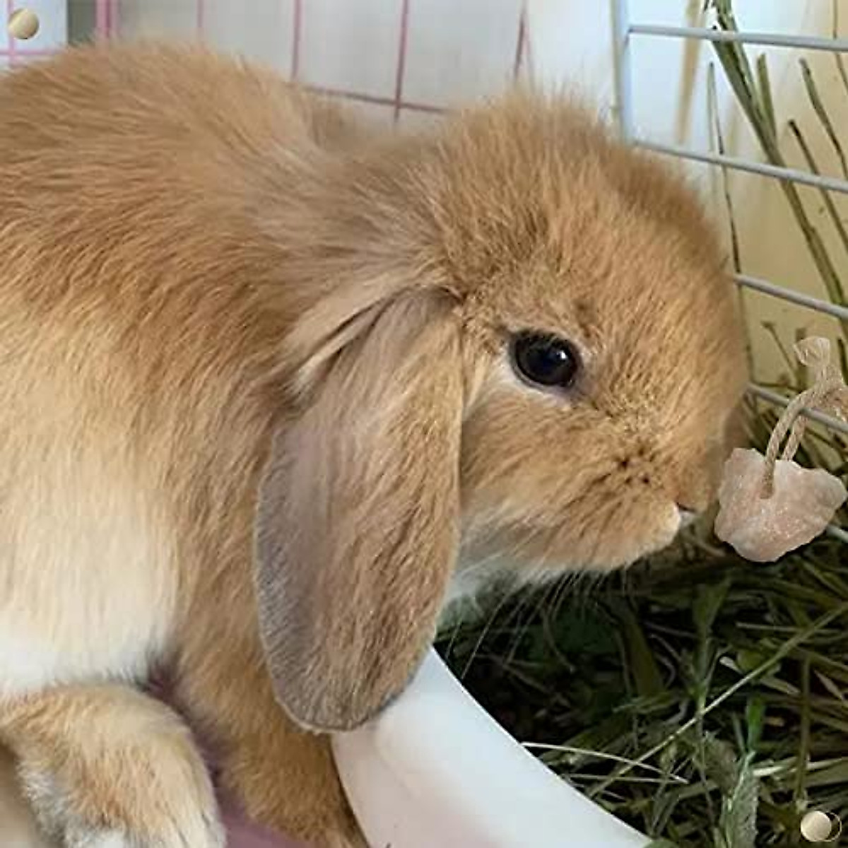 Himalayan Small Pets Lick Salt Block on Rope Natural Small Animal Mineral Salt Block Chew Toys with Hanging Rope Rabbit Mineral Salt Chew Treat Supplies for Bunny Chinchilla Hamster Ferret (8PCS)