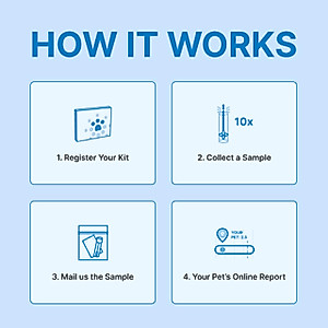 Petivity Microbiome Analysis Kit - Advanced for Cats and Dogs Powered by Purina - 4.8oz Box