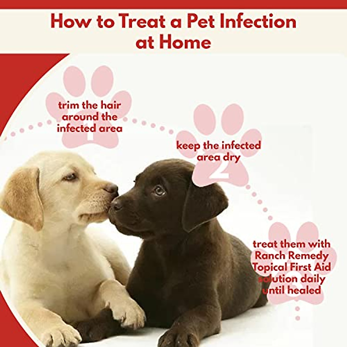 Ranch Remedy Topical First Aid Pain Relief Spray | Natural Wound Care for Infections, Itch, Warts, Rash, Hot Spot Treatment for Dogs, Cats & Farm Animals