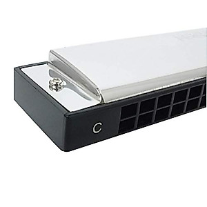 WAAZVXS Tremolo Harmonica 24 Hole 48 Tone Blues Harp Mouth Organ Key of C ABS Resin Brass Reed Musical Instruments (Color : Key A)