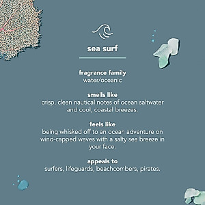 Method Body Wash, Sea + Surf, Paraben and Phthalate Free, Biodegradable Formula, 28 oz, (Pack of 1)