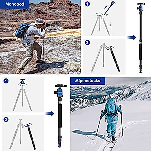 Camera Tripod, 80/84 inches Heavy Duty Tripod for Camera and Phone, 82" Camera Monopod Tripod, DSLR Binoculars Spotting Scope Camcorders Video Tripod Stand, 360 Degree Ball Head, 35 lbs Loads