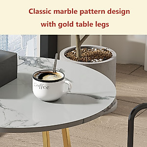 Lamhorm 2 Tier Small Round Side Table, Wooden End Table with Storage Shelf, Modern Coffee Table with Gold Metal Frames for Living Room, Bedroom and Any Small Spaces 22.8”