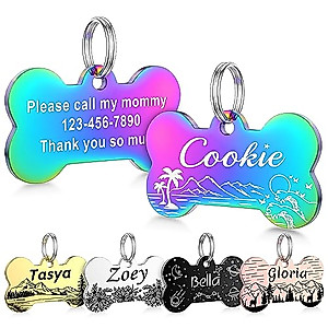 GISUERY Dog Tags Stainless Steel Pet Tags Personalized Double-Sided Engraved Dog and Cat Tags Custom Pet Name ID Tag, Various Design Options (Bone)