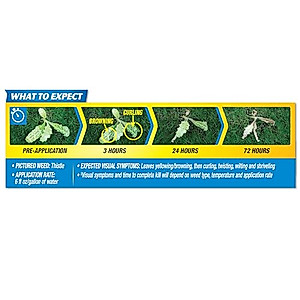 Spectracide Weed Stop For Lawns3