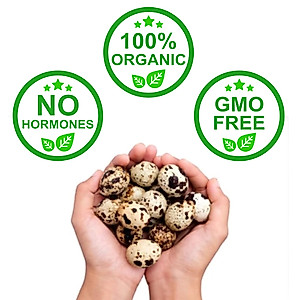 FARM FRESH Quail Eggs *Laid in the U.S.* Hormone Free; Non-GMO - (12+ Ct)