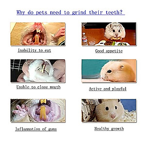 Syhemtya Chinchilla Toys Hamster Chew Toys Guinea Pig Toys Rat Toys Hamster Cage Accessories Small Animal Teeth Care Apple Wooden Accessories Set,Ball Ladder Bridge Swing Roller for Playground