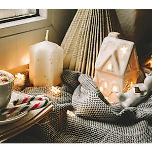 Iconikal 5-Watt C7 Night Light Candelabra Bulbs, Clear, 24-Count for Lamps Nightlights Lanterns String Lights