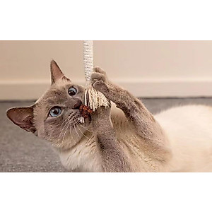 Spindro 3 Pack Cat Catnip Toys for Indoor Cats, Cat Chew Toy for Teeth Cleaning Interactive Cat Teething Toy for Kittens Dog Toys Cat Dental Toy Natural for Aggressive Cats