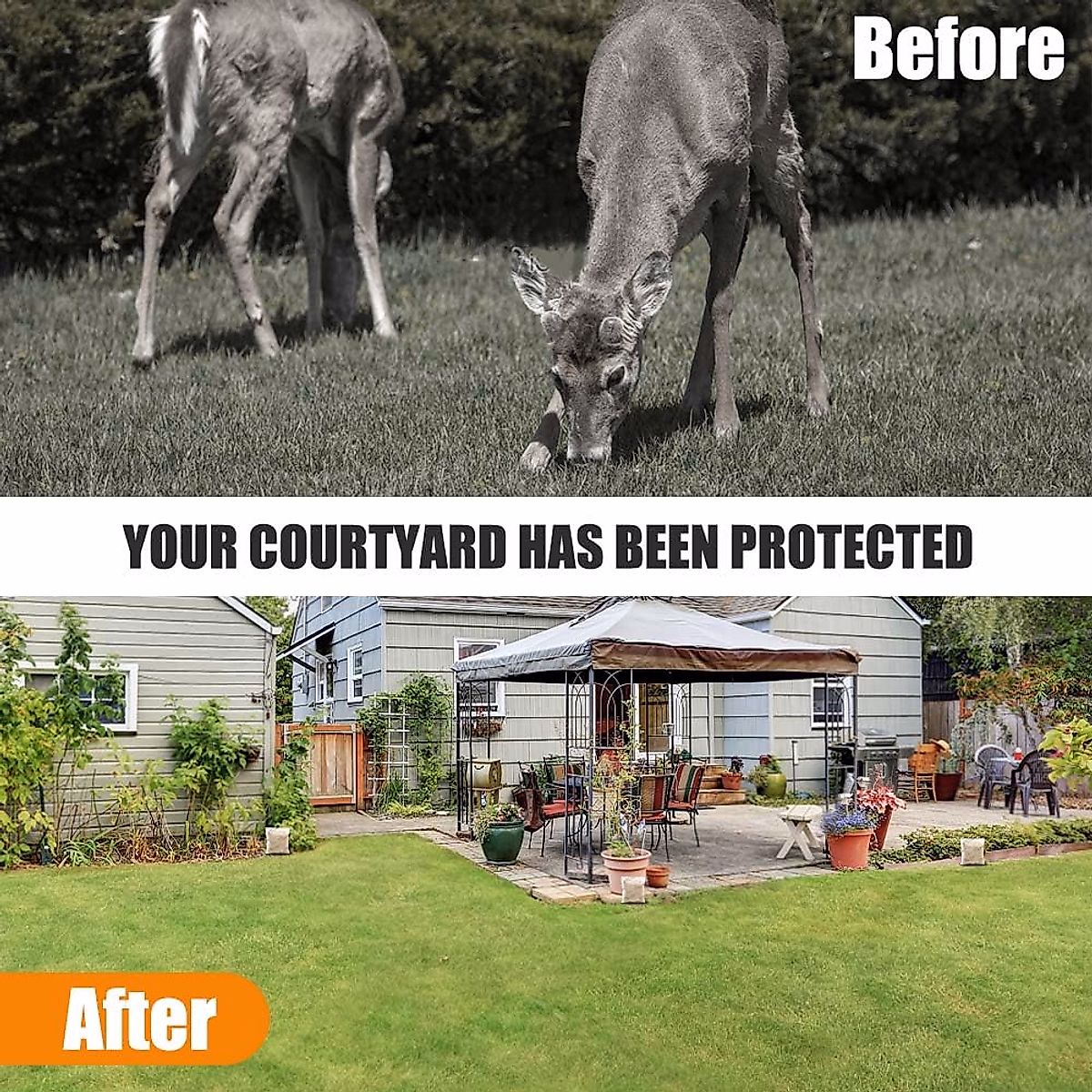 FANDISES Deer Repellent, Rabbit Repellent Outdoor, Deer and Rabbit Repellent for Plants, Powerful Rabbit Repellent for Garden, Deer Deterrent for Garden, Deer Away, Rabbit Deterrent for Yard - 10P