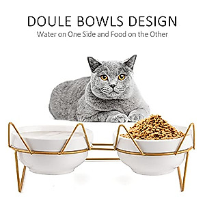 Trosetry Cat Bowls, Double Ceramic Pet Bowls with 15°Tilted Raised Stand for Food and Water, Anti Vomiting Cat Dish Feeder, Perfect for Puppy Cats and Small Dogs(Double Bowls1)