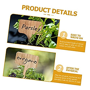 Baluue 90 Pcs Plant Label Vegetable Wooden