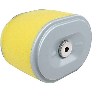 BEIYIPARTS 4X Air Filter & Fuel Filter for Generac 196cc 0K84300168 Gas Engine 168F 168FA 168FB 168F1 168F2 5.5hp 6hp 6.5hp Generator