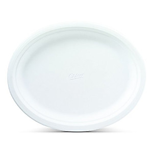Chinet Premium 10-Inch Platters, 24-Count Packs (Pack of 4)