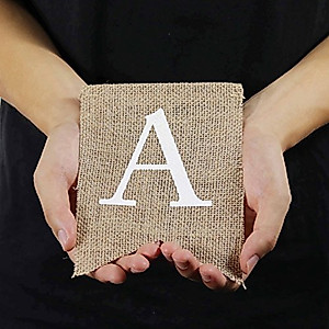 Andaz Press Real Burlap Fabric Pennant Hanging Banner Baby Shower, Pre-Strung, No Assembly Required, 1-Set