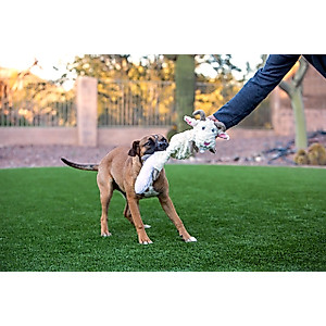 Jolly Pets Fat Tail Small Horse, JTFT57