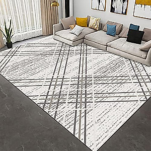 FINOREN Artistic Abstract Area Rug.Lines-Grey,4'x6', Suitable for Bedroom, Living Room, Apartment, Machine Washable Non-Slip Soft Modern Interior Rug,Smudge-Proof, Non-Shedding.