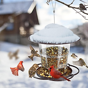 Samhe Bird Feeders for Outside, Squirrel Proof Waterproof 2.2 Lbs Capacity Easy to Fill, Retractable Wild Bird Feeders for Outdoors Hanging, Yard Garden Decoration