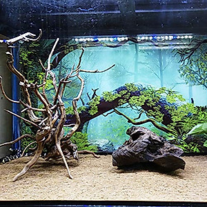 Hamiledyi Reptile Carpet Mat Coconut Fiber,Tortoise Substrate Liner Lizard Reptile Coco Liner for Bearded Dragon Snake Gecko Turtle Lizard Chamelon Iguana