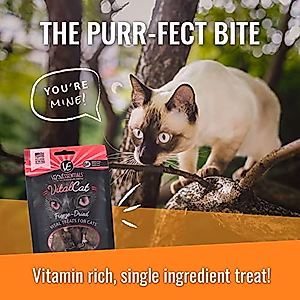 Vital Essentials Freeze Dried Cat Food, Rabbit Mini Nibs 12 oz