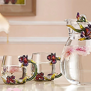 Glass Tea Cup Coffee Mug,Hand Blown Glass Drinking Mug Made of Lead-free Glass and Enamels