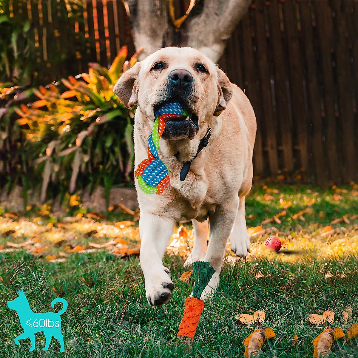 Plazenzon Dog Rope Toy for Aggressive Chewers Medium Bleed Small Dogs Indestructible Toys Chew Rope Ball Teething Pitbull Toys Puppies Outdoor Dog Toys