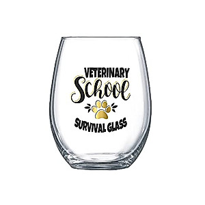 Veterinary School Graduation Gifts for Her Vet Admission 20oz Funny Stemless Wine Glass 0150