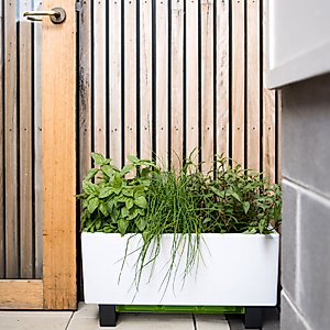 Glowpear Self Watering Planter Box - 23.6", White - UV Stable, Scalable Plant Pot with Water Gauge, Indoor Outdoor for Vegetables, Flowers, Herbs, and Succulents, Gardening