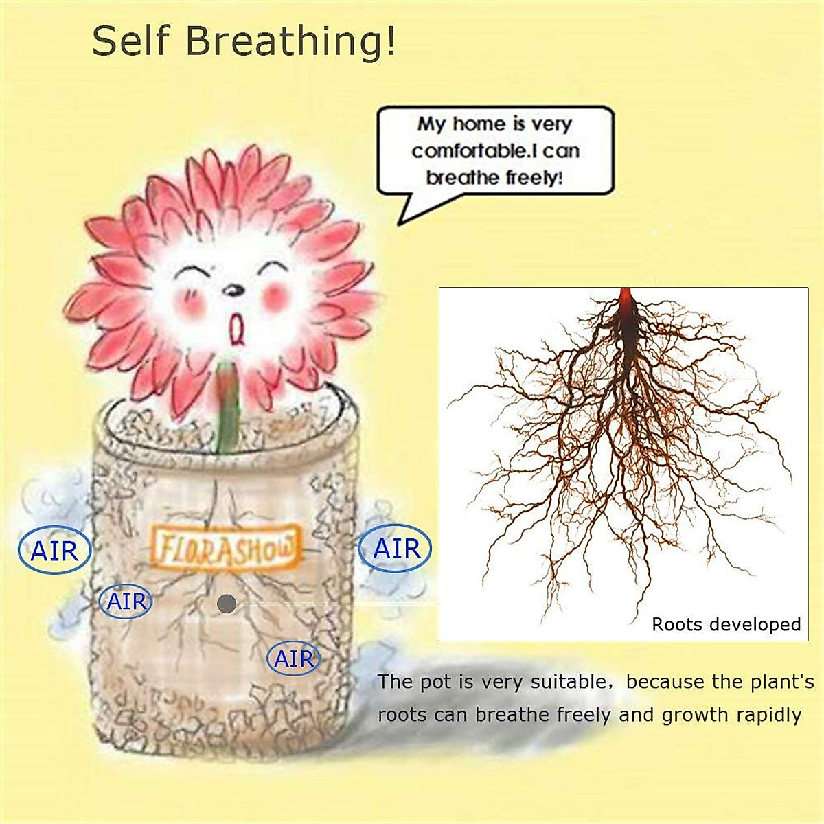 FLORASHOW Succulent Pots,White Crystal Materials Mini 3.26 inch Succulent Planter Pot, Ultra-Breathable, Water-Permeable Suitable for Succulents, Cactus, Smaller Plants and More