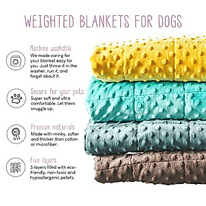 Nappy Puppy - Weighted Dog Blanket | Specially Designed for Anxious Dogs | Extra Comfortable | Premium Minky Fabric | Hypoallergenic Glass Beads | Aqua | Large 6 lb