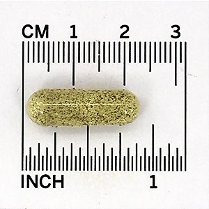 Solaray Pancreatin 1300 | Pancreatic Digestive Enzymes Plus Papaya for Healthy Digestion Support | 90 VegCaps, 90 Serv.