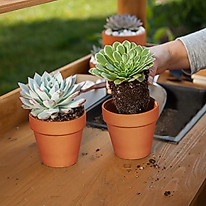 KOAMLY 20pcs 3 InchTerra Cotta Plant Nursery pots Mini Planters with Drains, Succulent Seedling Planters Best Gift for Aunt in Home Office, Window Sill, Wedding Decor