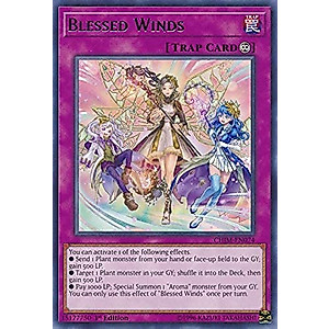 Yu-Gi-Oh! - Blessed Winds - CHIM-EN074 - Rare - 1st Edition - Chaos Impact