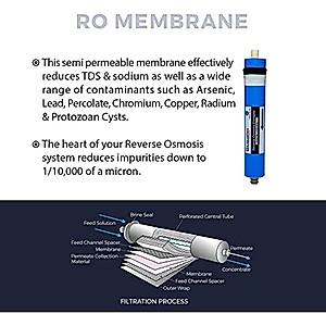 LiquaGen - 200 GPD Water Saver Upgrade Kit - Aquarium Reef/Reverse Osmosis Membrane + Full Membrane Housing Kit | RO Water Purification Replacement Filter Kit for Under Sink or Countertop Use