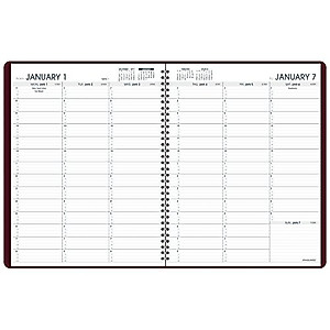 AT-A-GLANCE Weekly Appointment Book / Planner, January 2018 - January 2019, 8-1/4" x 10-7/8", Winestone (7095050)