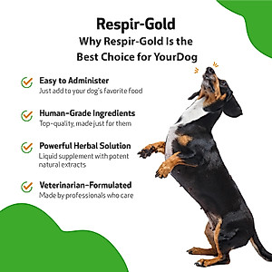 Pet Wellbeing Respir-Gold for Dogs - Supports Healthy Breathing, Open Airways, Respiratory Support, Black Cumin, Horehound, Grindelia - Veterinarian-Formulated Herbal Supplement 2 oz (59 ml)