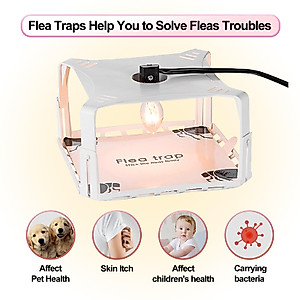 Flea Traps for Inside Your Home 2 Packs, Flea Trap with Light for Indoor Bed Bug, Flea Killer Pest Control Sticky Natural Trapper, Non Toxic & Harmless, Friendly to Pets & Kids