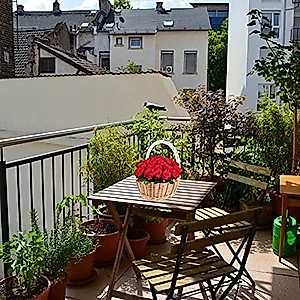 Hemoton Fruit Vegetable Storage Basket Wicker Rattan Flower Basket Willow Handwoven Flower Girl Baskets for Farmhouse Wedding Table Centerpiece Rustic Courtyard Indoor Decor 25x20cm