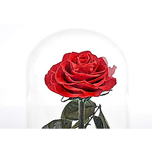 Sharper Image Timeless Rose - Red