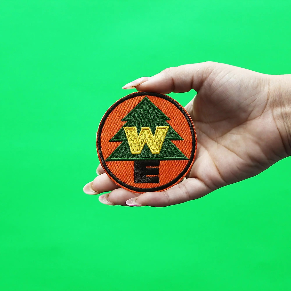 Wilderness Explorer Disney Scout Iron On Badge Patch Up Craft Accessory Applique