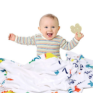 Cloele Baby Monthly Milestone Blanket - Newborn Unisex Baby Age Blanket 37"x53" First Year Calendar Growth Chart - Soft Baby Month Blanket for Boy & Girl Dinosaur Photography Background Blanket White