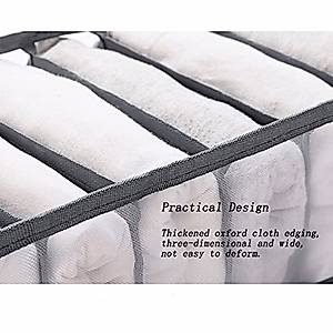 LOTSC 7 Grid Washable Wardrobe Clothes Organizer, Jeans Compartment Storage Box for Home (White 9-grid T-shirt)