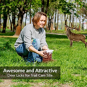 Himalayan Nature 100% Natural Solid Mineral Rock Salt - Salt Mineral Chunks animals