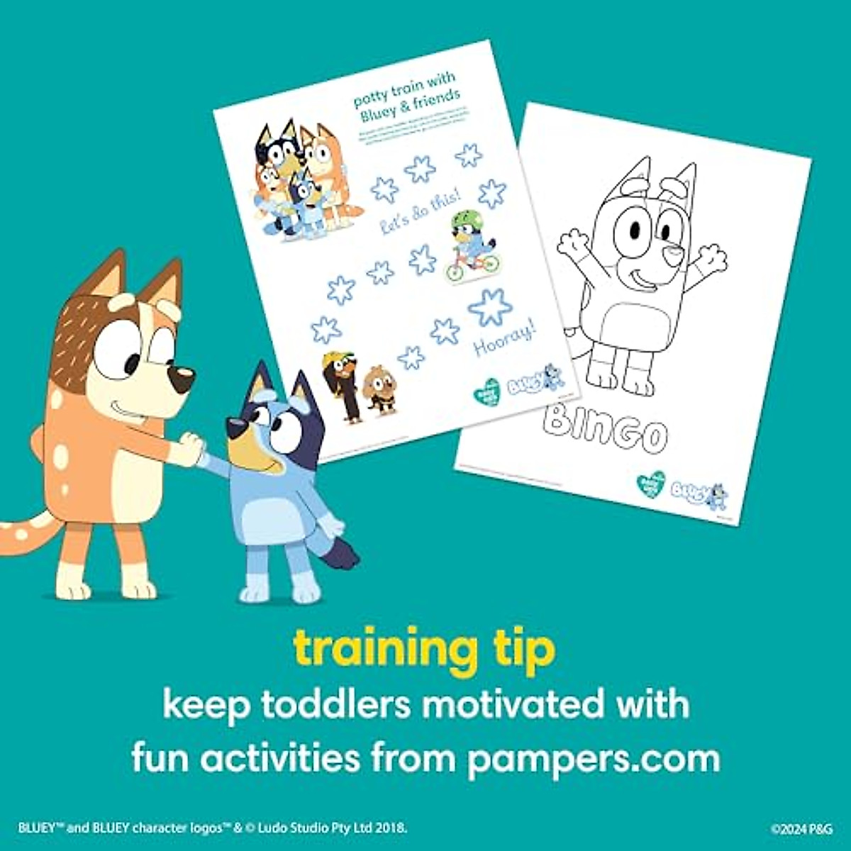 Pampers Training Pants - Easy Ups Boys & Girls Bluey - Size 5T-6T, 15 Count, Children's Potty Underwear (Packaging May Vary)