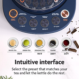 Vianté Electric Kettle With Tea Infuser For Loose Leaf Tea. Hot Tea Maker With Temperature Control And Automatic Shut Off. Tea Kettle With Brewing Programs. 1.5 Liters Capacity | Midnight Blue Color